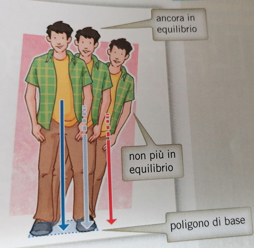 Equilibrio dei solidi: baricentro | - Nonna Sandra racconta